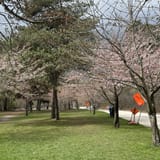 High Park Loop, Ontario, Canada - 1,154 Reviews, Map | AllTrails