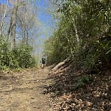 South Toe River Loop Trail, North Carolina - 431 Reviews, Map | AllTrails