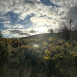 Lough Eske Nature Loop, County Donegal, Ireland - 104 Reviews, Map ...