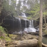 Greeter Falls Loop, Tennessee - 1,146 Reviews, Map | AllTrails