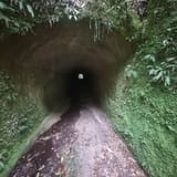 Te Rerenga Tunnel Trail, Bay of Plenty, New Zealand - 81 Reviews, Map ...
