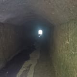 Te Rerenga Tunnel Trail, Bay of Plenty, New Zealand - 81 Reviews, Map ...