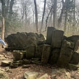 Limberlost Trail, Virginia - 866 Reviews, Map | AllTrails