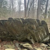 Limberlost Trail, Virginia - 866 Reviews, Map | AllTrails