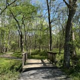 Bristow Broad Run Trail , Virginia - 390 Reviews, Map | AllTrails