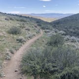 Keystone Canyon Trail, Nevada - 1,213 Reviews, Map | AllTrails