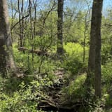 Bristow Broad Run Trail , Virginia - 390 Reviews, Map | AllTrails