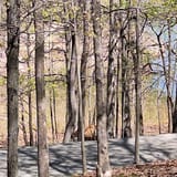 White Bison Loop, Missouri - 2,381 Reviews, Map | AllTrails