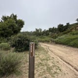Ocean Overlook Loop, California - 1,003 Reviews, Map | AllTrails