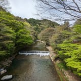 Mount Atago Loop, Kyoto, Japan - 182 Reviews, Map | AllTrails