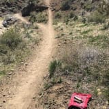 Keystone Canyon Trail, Nevada - 1,213 Reviews, Map | AllTrails