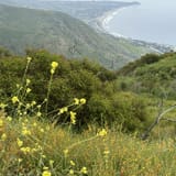 Ocean Overlook Loop, California - 1,003 Reviews, Map | AllTrails