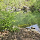 Pine Log Creek Trail, Georgia - 2,482 Reviews, Map | AllTrails