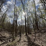 Cornish Estate Trail, New York - 1,693 Reviews, Map | AllTrails