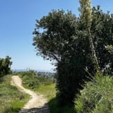 Whiting Ranch Trail, California - 1,841 Reviews, Map | AllTrails