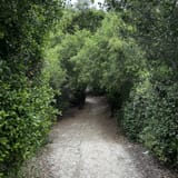 Whiting Ranch Trail, California - 1,748 Reviews, Map | AllTrails