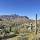 Hackberry Springs Loop, Arizona - 1,742 Reviews, Map | AllTrails