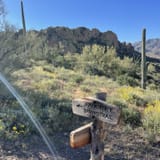 Hackberry Springs Loop, Arizona - 1,742 Reviews, Map | AllTrails
