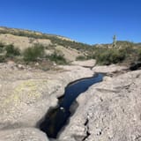 Hackberry Springs Loop, Arizona - 1,742 Reviews, Map | AllTrails