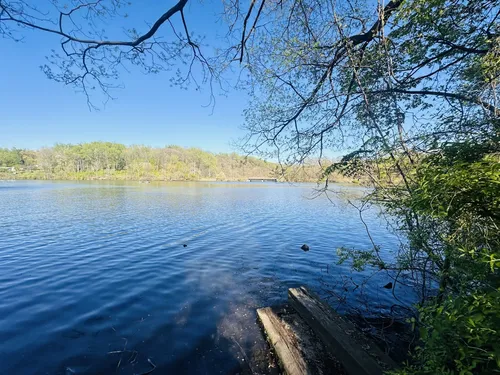 Best River Trails in Lake Roland Park | AllTrails
