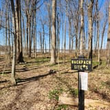 Bloodroot Trail, Indiana - 676 Reviews, Map | AllTrails