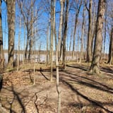Bloodroot Trail, Indiana - 676 Reviews, Map | AllTrails