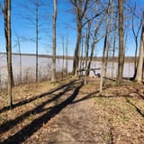 Bloodroot Trail, Indiana - 676 Reviews, Map | AllTrails