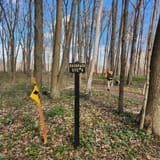 Bloodroot Trail, Indiana - 676 Reviews, Map | AllTrails