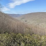 Old Loggers Path, Pennsylvania - 670 Reviews, Map | AllTrails