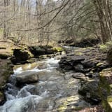 Old Loggers Path, Pennsylvania - 670 Reviews, Map | AllTrails