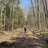 Old Loggers Path, Pennsylvania - 670 Reviews, Map | AllTrails