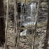 Old Loggers Path, Pennsylvania - 670 Reviews, Map | AllTrails