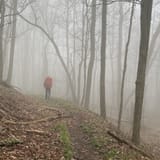 Old Loggers Path, Pennsylvania - 670 Reviews, Map | AllTrails