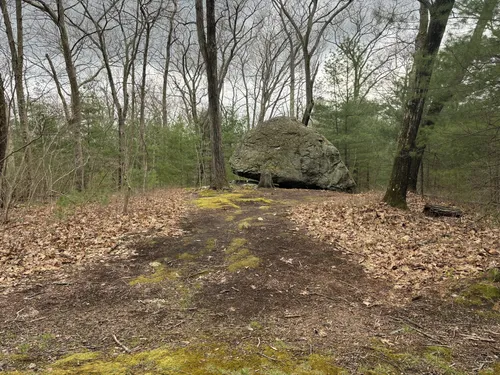 Best Easy Trails in Breakheart Reservation | AllTrails