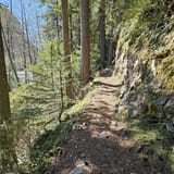 Skookum Flats Trail, Washington - 1,007 Reviews, Map | AllTrails