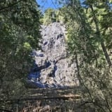 Skookum Flats Trail, Washington - 1,007 Reviews, Map | AllTrails