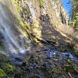 Skookum Flats Trail, Washington - 1,007 Reviews, Map | AllTrails