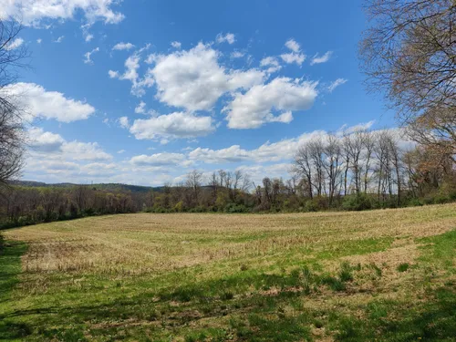 Best Hikes and Trails in Point Mountain Reservation | AllTrails