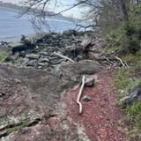 Allison Park Loop, New Jersey - 954 Reviews, Map | AllTrails