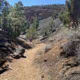 Red Mountain Trail, Arizona - 947 Reviews, Map | AllTrails