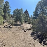 Red Mountain Trail, Arizona - 947 Reviews, Map | AllTrails