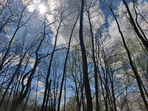 Best Hikes and Trails in Point Mountain Reservation | AllTrails