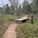 Lost Pines Trail, Texas - 683 Reviews, Map | AllTrails