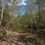 Birdsboro Reservior, Pennsylvania - 257 Reviews, Map | AllTrails