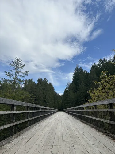 Best Forest Trails in Paldi | AllTrails