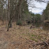 Wildcat Falls, New Hampshire - 2,026 Reviews, Map | AllTrails