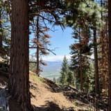Eagle Ridge Trail, Nevada - 641 Reviews, Map | AllTrails