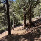 Eagle Ridge Trail, Nevada - 641 Reviews, Map | AllTrails