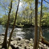 Southern Loop via Western Ridge Trail, Rock Creek, Valley Trail ...