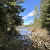 Wallace Falls and Wallace Lake Loop, Washington - 1,267 Reviews, Map ...